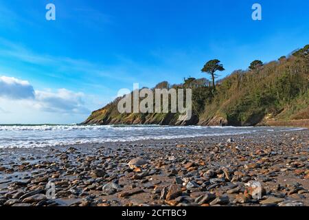 Porthluney beach near caerhays Cornwall England uk Stock Photo - Alamy