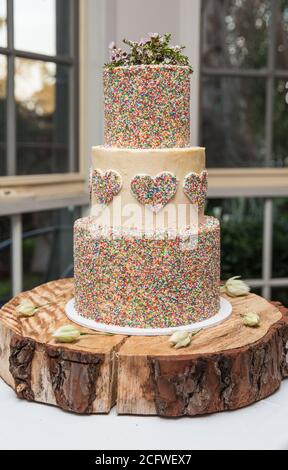 Cake covered in hundreds and thousands Stock Photo - Alamy