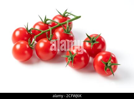 A series of fresh petite tomatoes on a white background Stock Photo - Alamy