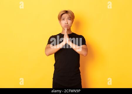 Portrait of miserable asian guy pleading, begging for help, standing ...