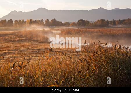 Autumn in Uffing at the Staffelsee, Upper Bavaria, Bavaria, Germany ...