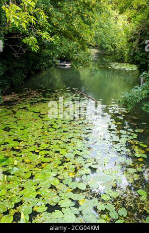 France, Essonne, Yerres, Yerres river and its banks Stock Photo - Alamy