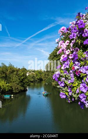 France, Essonne, Yerres, Yerres river and its banks Stock Photo - Alamy