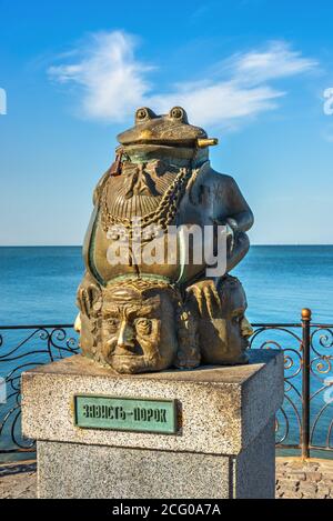 Toad on a summer walk Stock Photo - Alamy