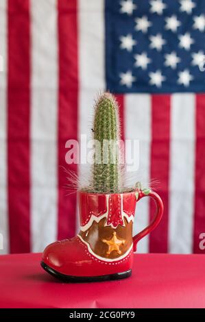 Still in cowboy style on wooden boards Stock Photo - Alamy