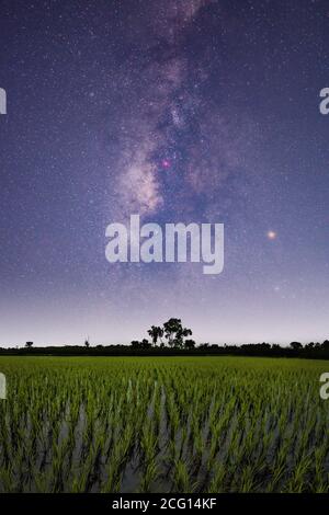 Night sky with the milky way core over green grass in country scenery ...