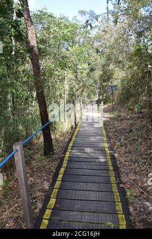 Cerrado with suspended trail, wood pathway over forest Stock Photo - Alamy