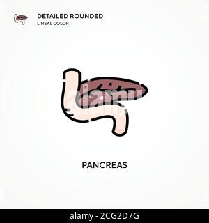 The endocrine system 3d medical vector illustration isolated on white ...