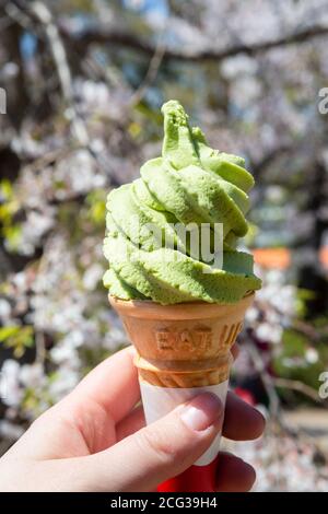 Matcha Ice Cream Cone is held by hand on isolated blue background Stock ...
