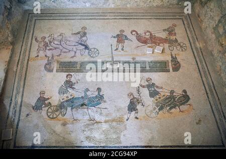 Wide picture of the Roman mosaics of Circus Maximus from the Palaestra ...