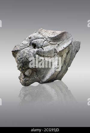 Hittite statue head of a lion, Hittite capital Hattusa, Hittite Middle ...