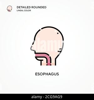 human body oral cavity esophagus anatomy organ health line icon style ...