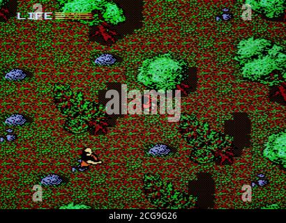 The Legend of Robin Hood - Nintendo Entertainment System - NES ...