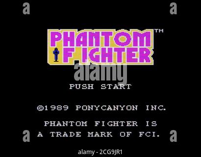Phantom Fighter - Nintendo Entertainment System - NES Videogame ...