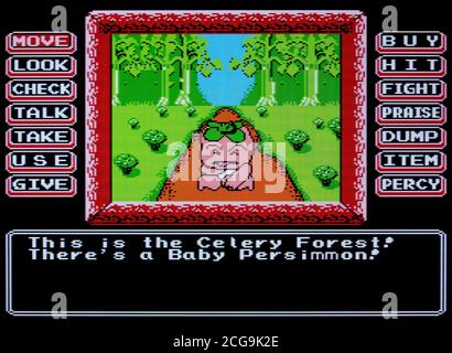 Princess Tomato in Salad Kingdom - Nintendo Entertainment System - NES ...