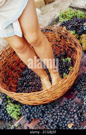 Woman crushes feet of grapes to make wine Stock Photo - Alamy
