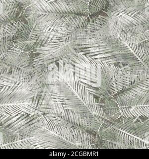 Neutral tropical palm tree leaves seamless pattern Stock Photo - Alamy