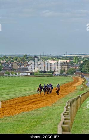 Newmarket Training grounds Stock Photo - Alamy