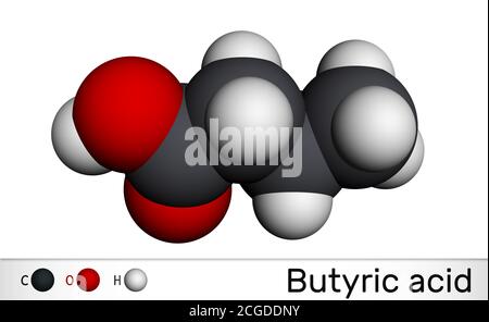 Butyric acid, butanoic acid molecule. Butyrates or butanoates are salts ...