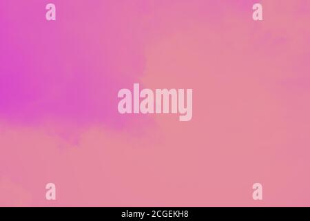Abstract pink coral watercolor gradient background with floral tulips ...