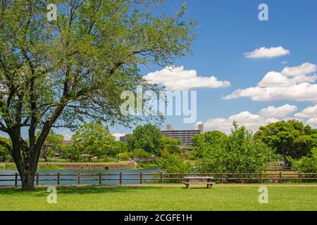 Suizenji Ezuko Park in Early Summer, Kumamoto Prefecture, Japan Stock ...