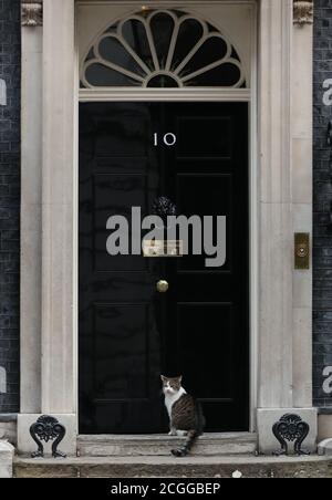 Larry the Cat sits on the doorstep of number 10 Downing Street ...