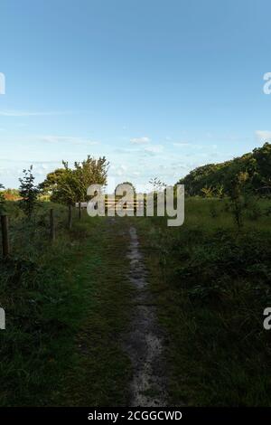 Fields with little grass in spring Stock Photo - Alamy