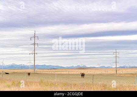 Foothills in Alberta with golden fields and hay bales and Canadian ...