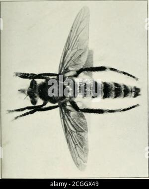 'The Annals and Magazine of Natural History' (1849) is a scientific ...