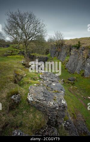 The old lead mine works at Ubley Warren showing the rakes cut into the ...