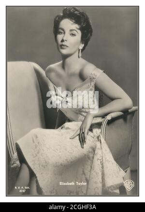 ELIZABETH TAYLOR PORTRAIT Stock Photo - Alamy