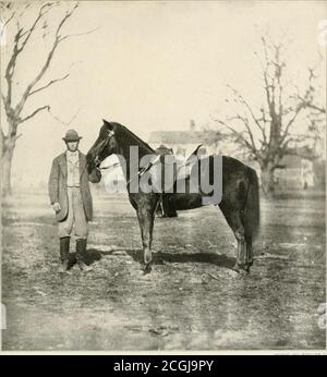 General Grant's horse, "Jeff Davis". Civil War Photograph Collection ...