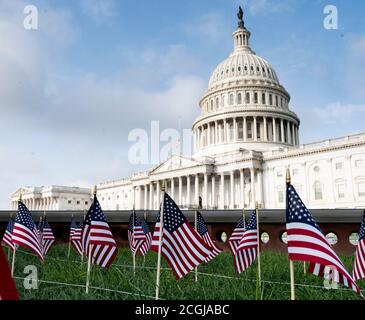 American Flags planted in Washington DC, USA Stock Photo - Alamy