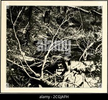 The conquered banner Stock Photo - Alamy