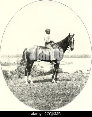 The darkey in the air. Civil war photographs, 1861-1865 . United States ...