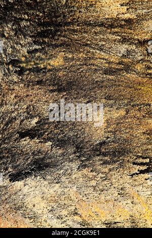 Ochre orange yellow black rust textured abstract background. Autumnal ...