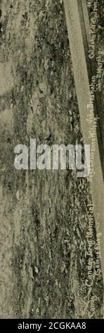 . Itinerary of the Seventh Ohio volunteer infantry, 1861-1864, with ...