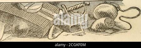 The Battle of New Orleans [The capture of New Orleans (April 25 – May 1 ...