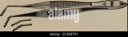 . Nursing in diseases of the eye, ear, nose, and throat . s the middle ...