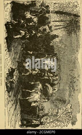 BUTLER, PIERCE. JUSTICE Stock Photo - Alamy