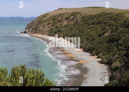 Bushy Beach Scenic Reserve, Oamaru, North Otago, South Island, New ...