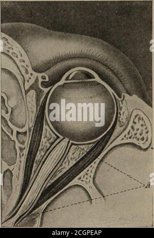 Anterior and Posterior Chambers of the Eye Stock Photo - Alamy