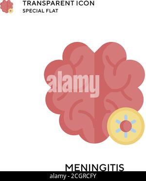 Medical illustration of symptoms of bacterial meningitis Stock Vector ...