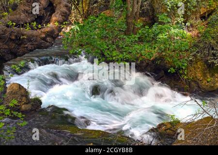 Banias river at north of Israel, flowing over rocks Stock Photo - Alamy