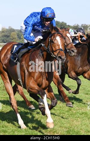 James Doyle, jockey Stock Photo - Alamy