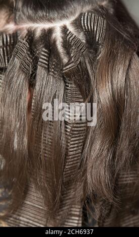Closeup of crimp hair locks with selective focus Stock Photo - Alamy