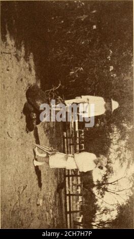 Good Morning Honolulu Stock Photo - Alamy