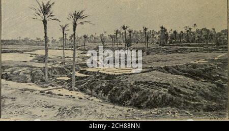 Pyramids Lake Moeris Stock Photo - Alamy