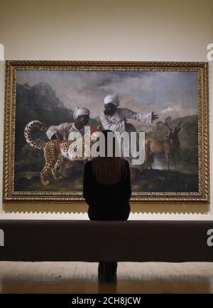 A Cheetah and a Stag with Two Indian Attendants, George Stubbs, 1764 ...