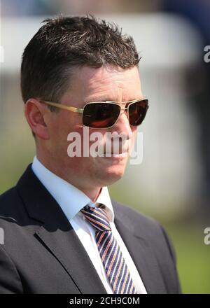David Griffiths, trainer Stock Photo - Alamy